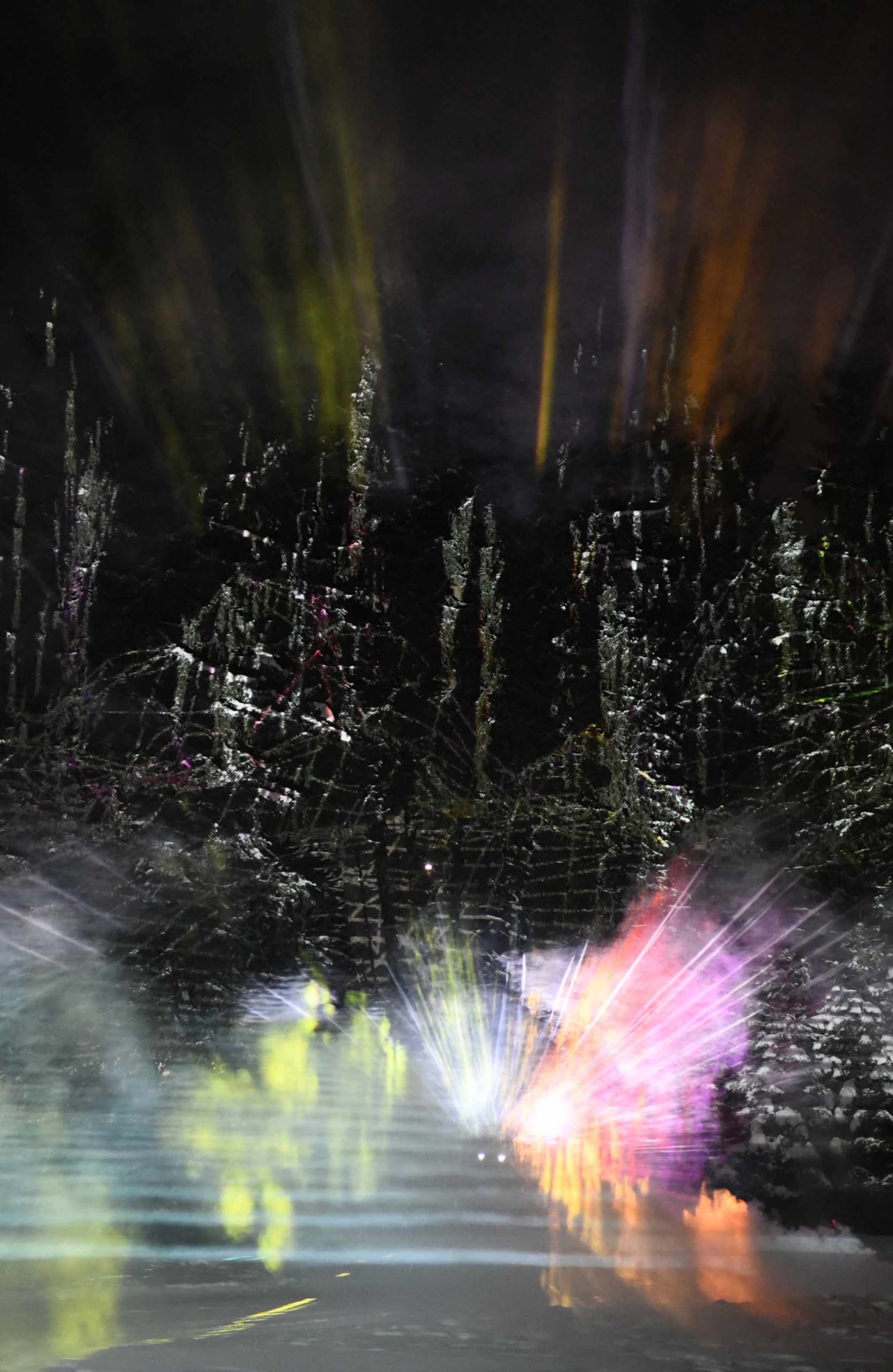 Trees in Motion 1.0 - artowl.ch