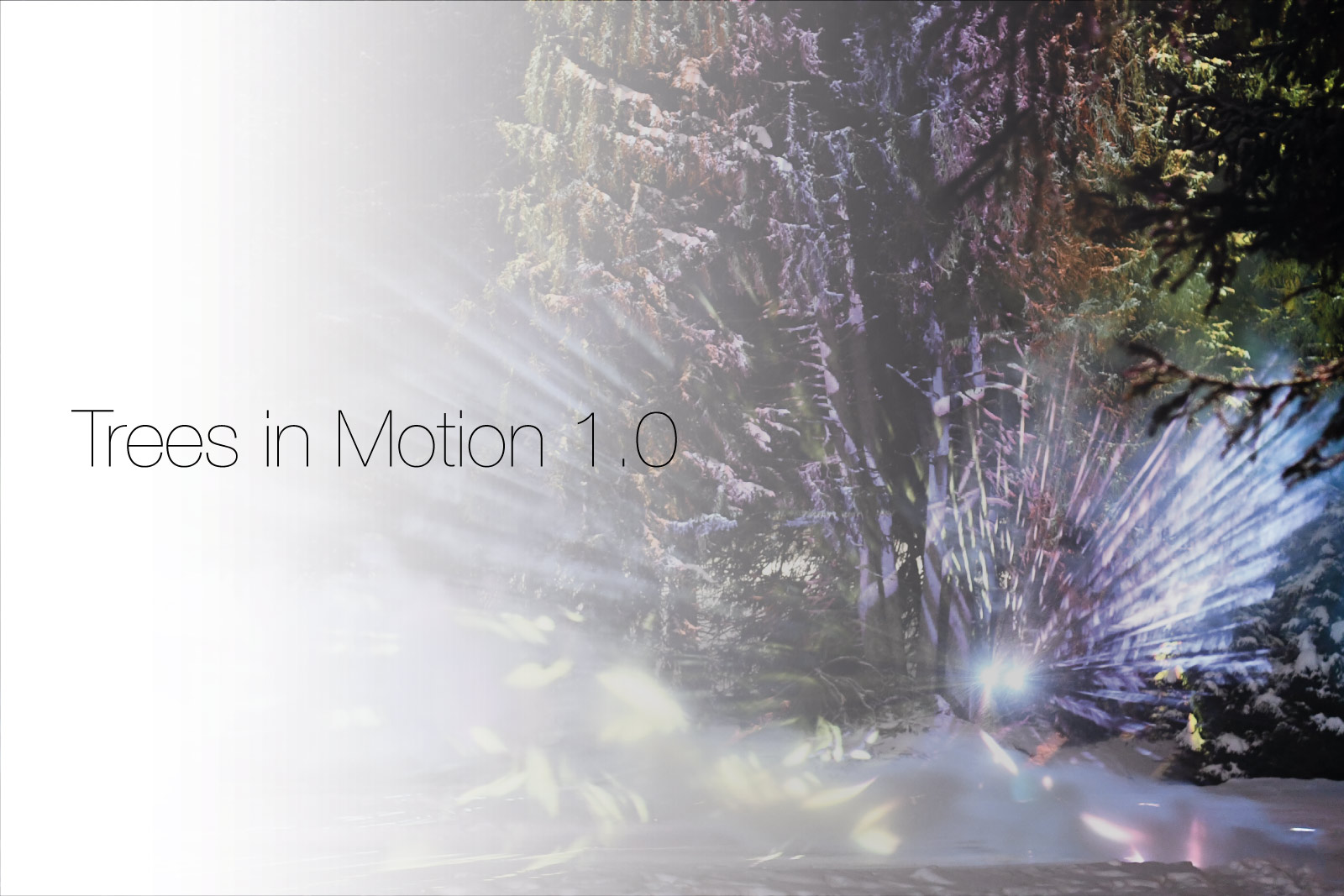 Trees in Motion 1.0 - artowl.ch
